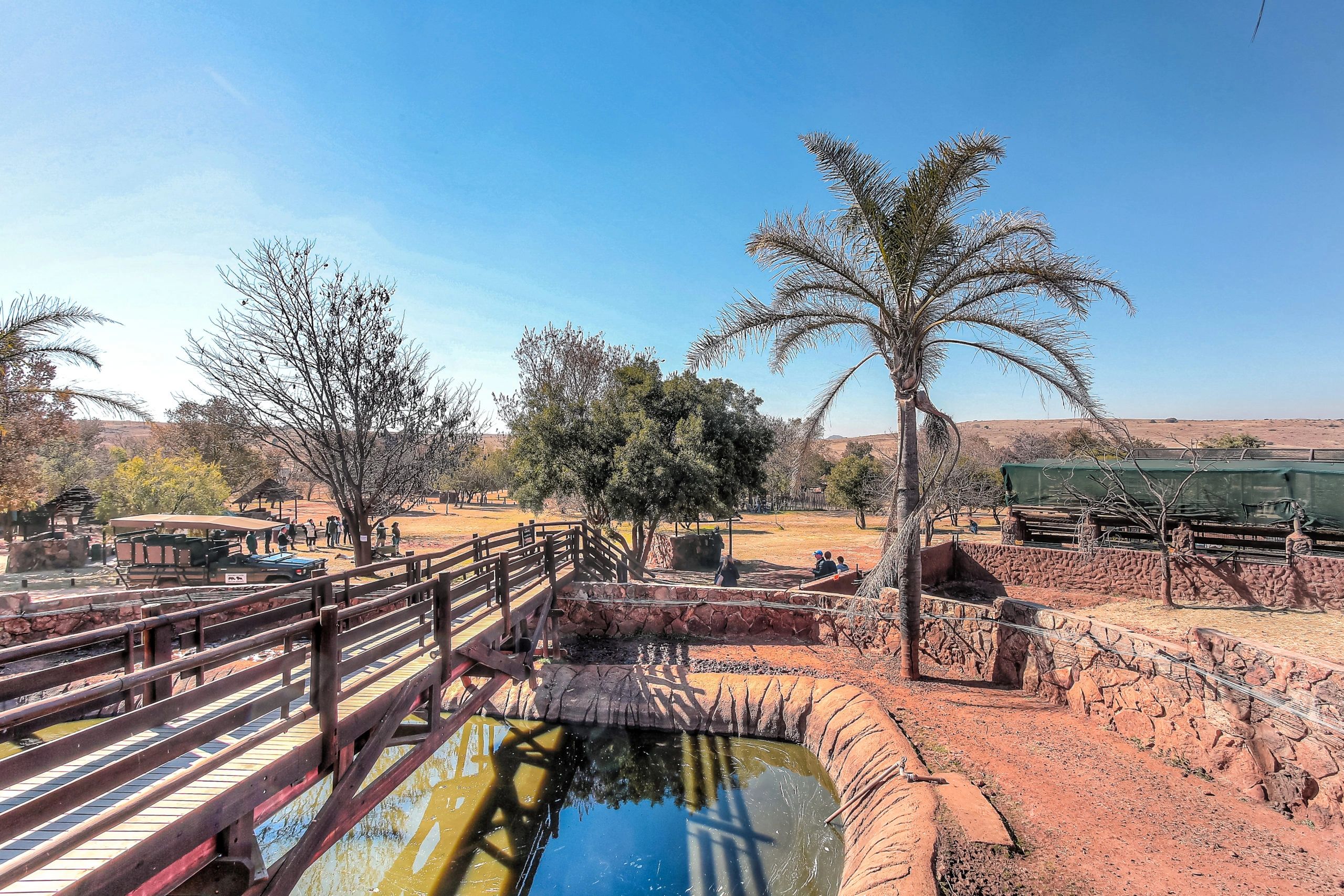 bothongo-rhino-and-lion-nature-reserve-half-day-half-day-schedule-r900