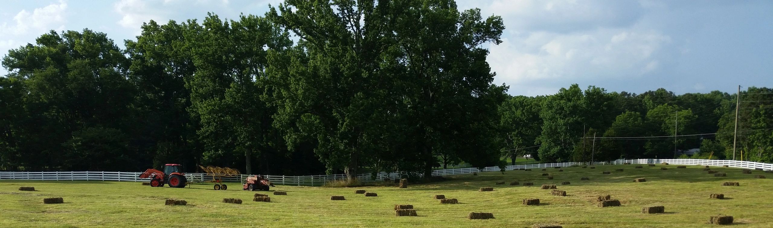 Haymaking