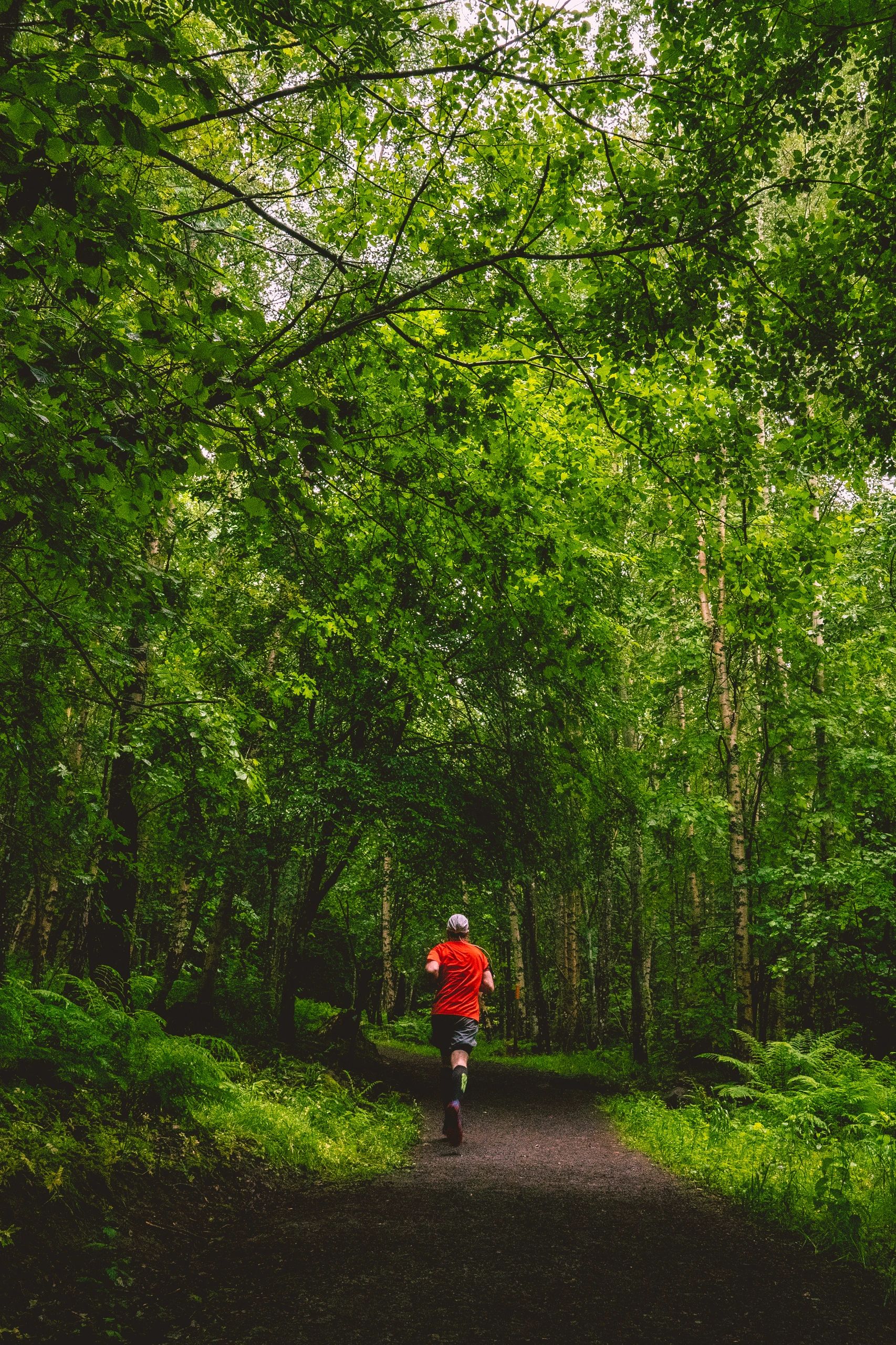 Momentum at Last for the Cross County Trail