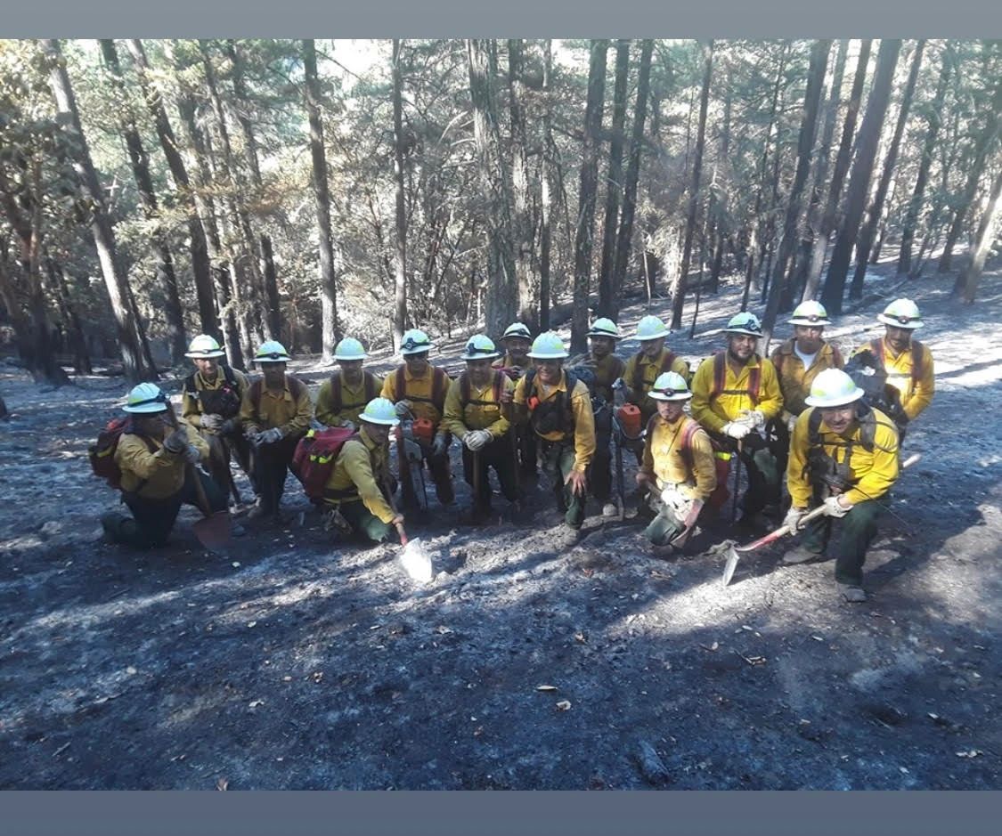 2019 Wildland Firefighting Crew