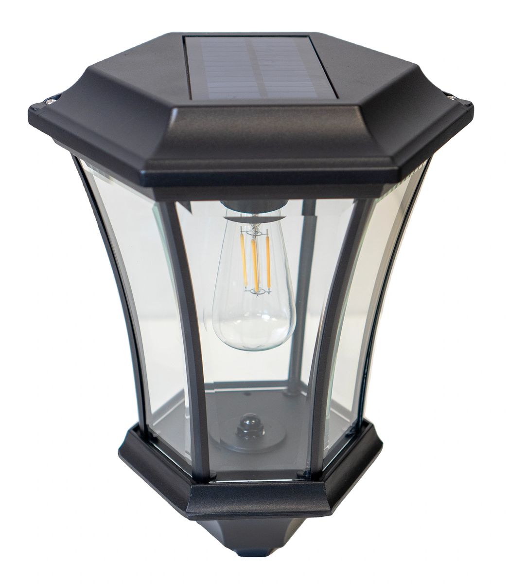 Lantern Head - Avalon - Black