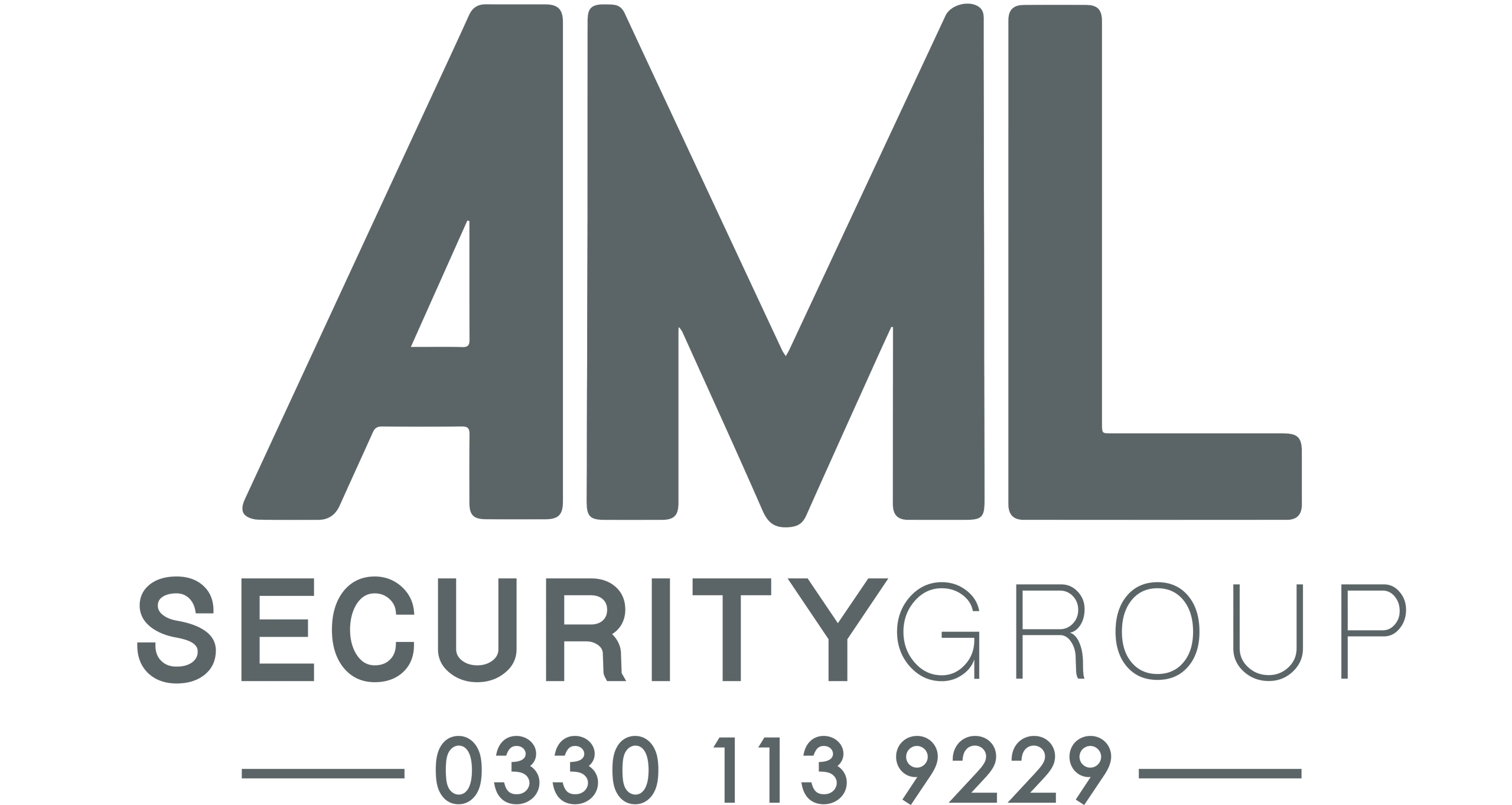 AML Service Group