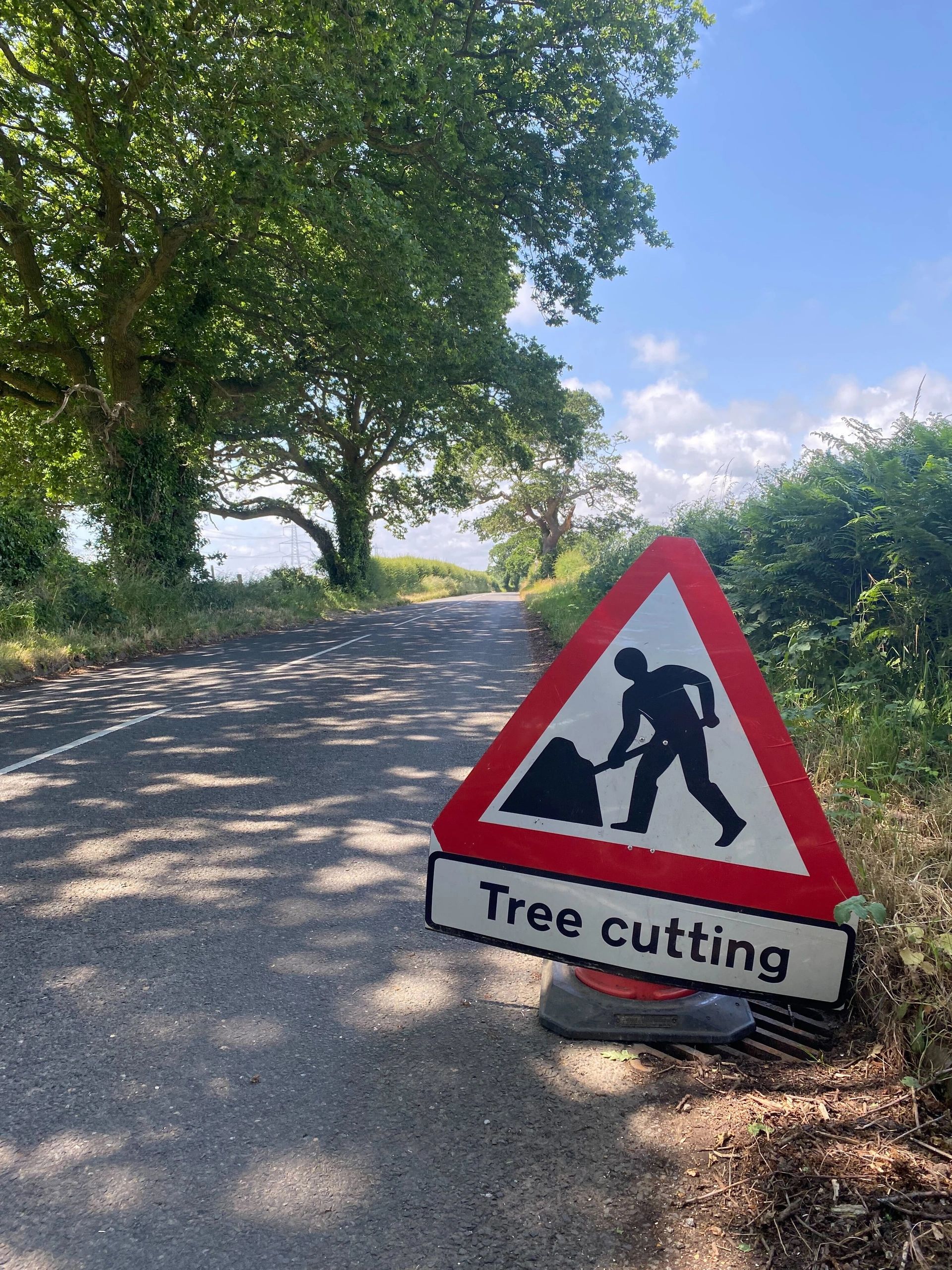Professional Tree Surgeon | Clearcut Tree Surgery