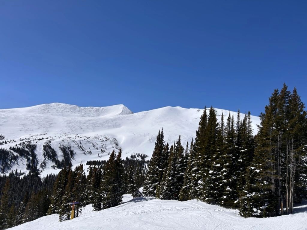 Expert Tax Controversy Lawyers | Anne Parmley Law