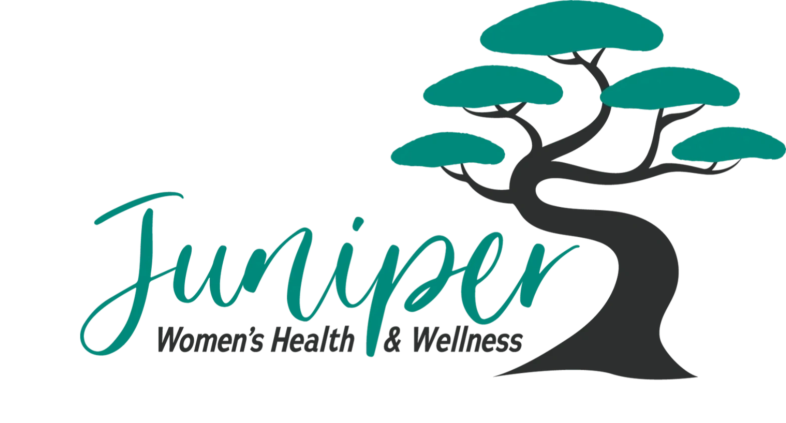 Birth Connection - Birth, Certified Midwife Nurse, Women