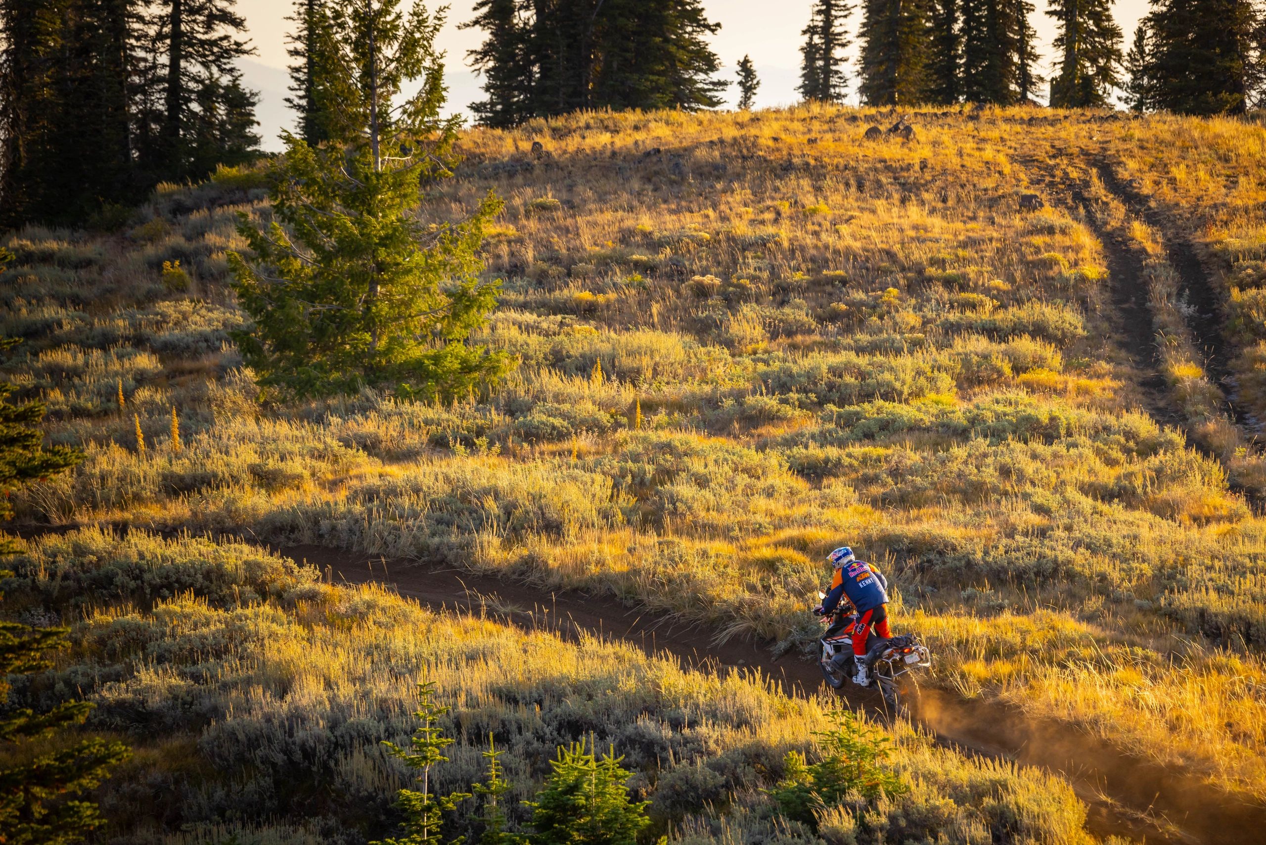 Oregon Motorcycle Adventures - KTM/Husqvarna