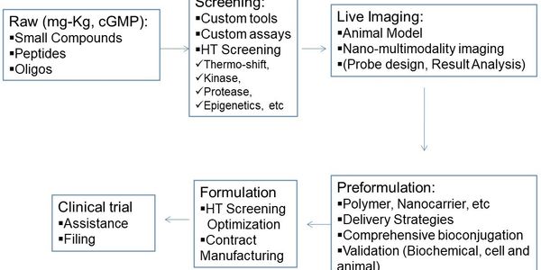 Chemical Synthesis Company -Custom Chemical Synthesis