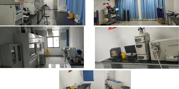 Chemical Synthesis Company -Custom Chemical Synthesis