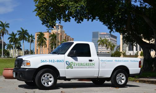 Pest Control - Evergreen Environmental Services