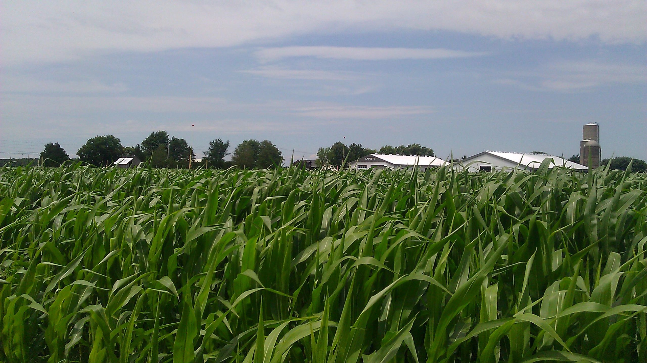 Daniel Simard, agronome - Agronome - Saint-Hyacinthe, Québec