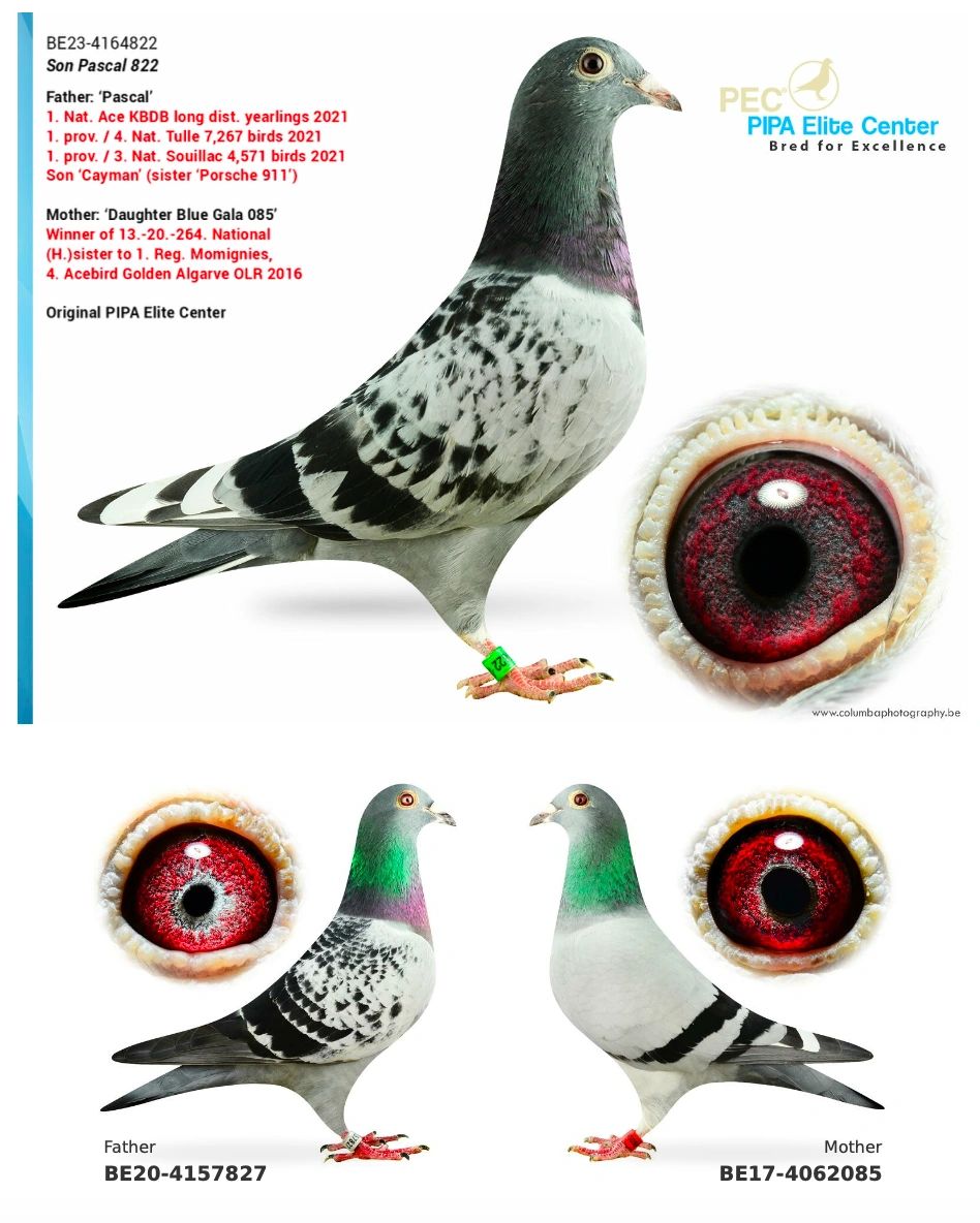 Grandchildren of 1st National Ace Pascal