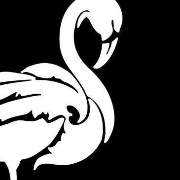 Taylor Event Group - Bergen County DJ, Wedding DJ Bergen County