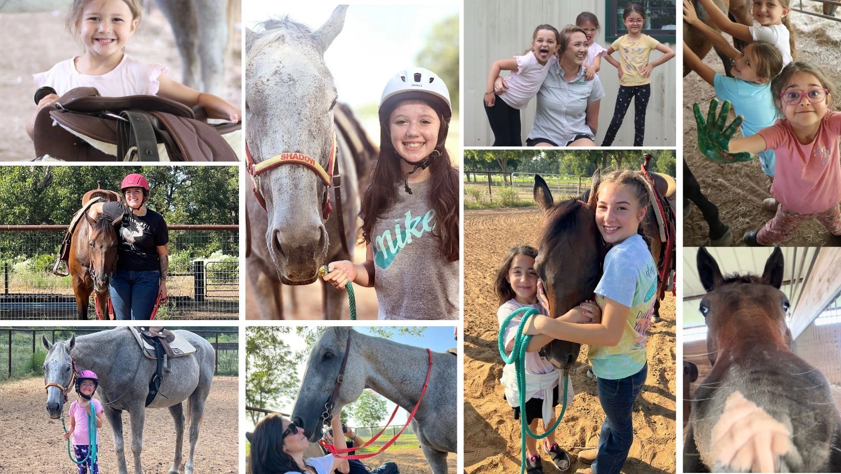 Expert Horseback Riding Lessons for All Ages