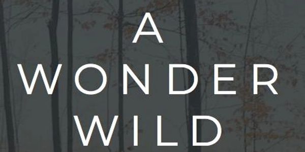 Rachel Michaela - Rachel Michaela, actress, performer | Rachel Michaela ...