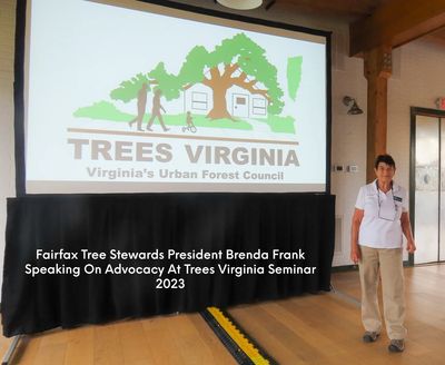 Advocacy | Fairfax Tree Stewards