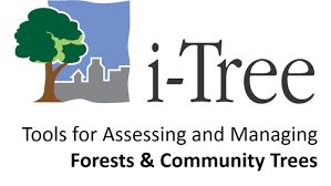 Calculate the Benefits of Your Trees with i-Tree