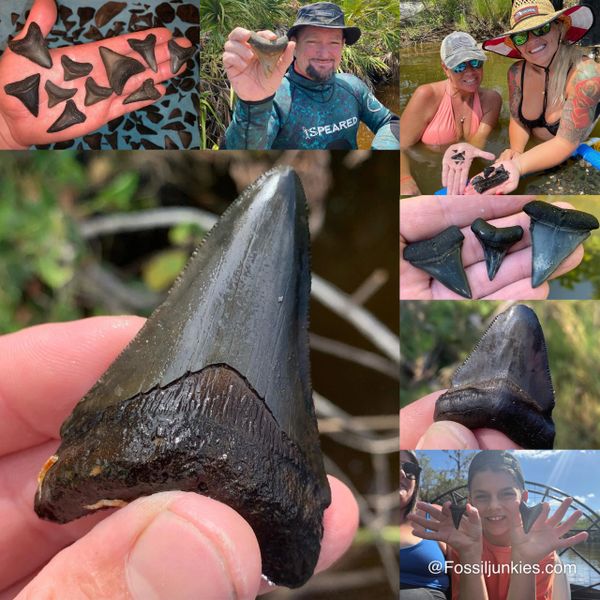 4 Hour Peace River Airboat Fossil Hunting Dig Tour GIFT TOUR