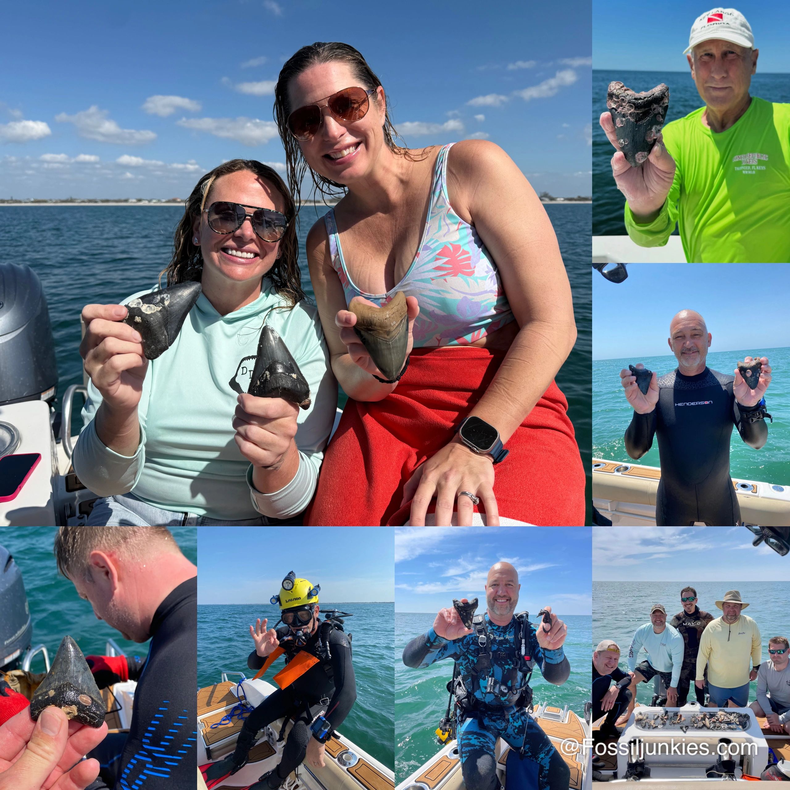 Venice Shark Tooth Tours