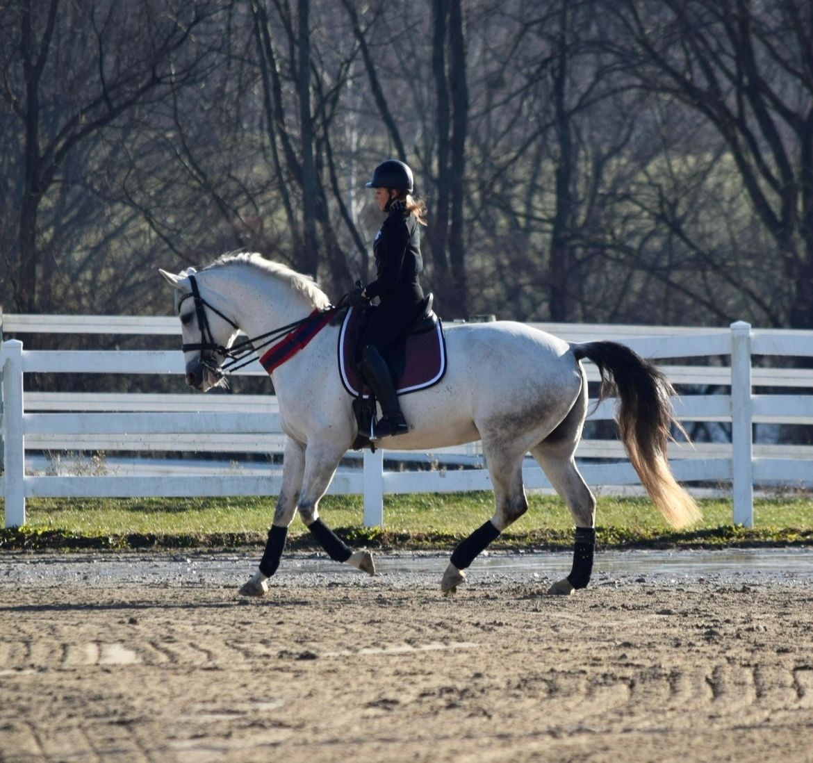 KML Equine Services - Equestrian, Dressage, Jumping
