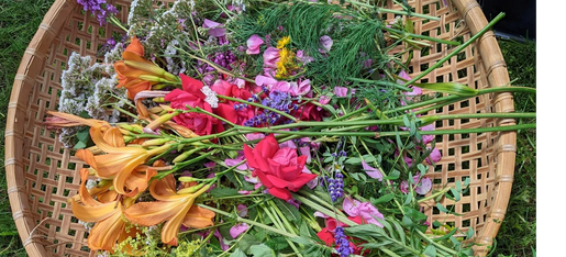 Maine Sol Botanicals - Home