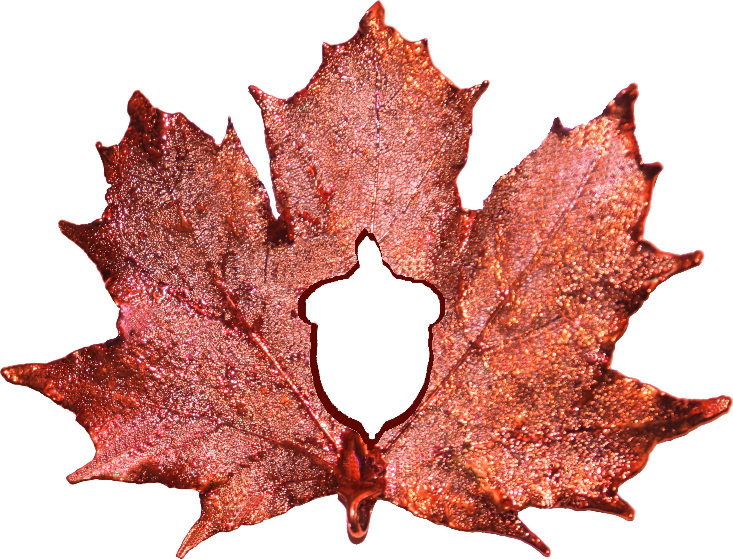 Maple Oak Accountancy Limited - Accountant, Slough, Tax Services