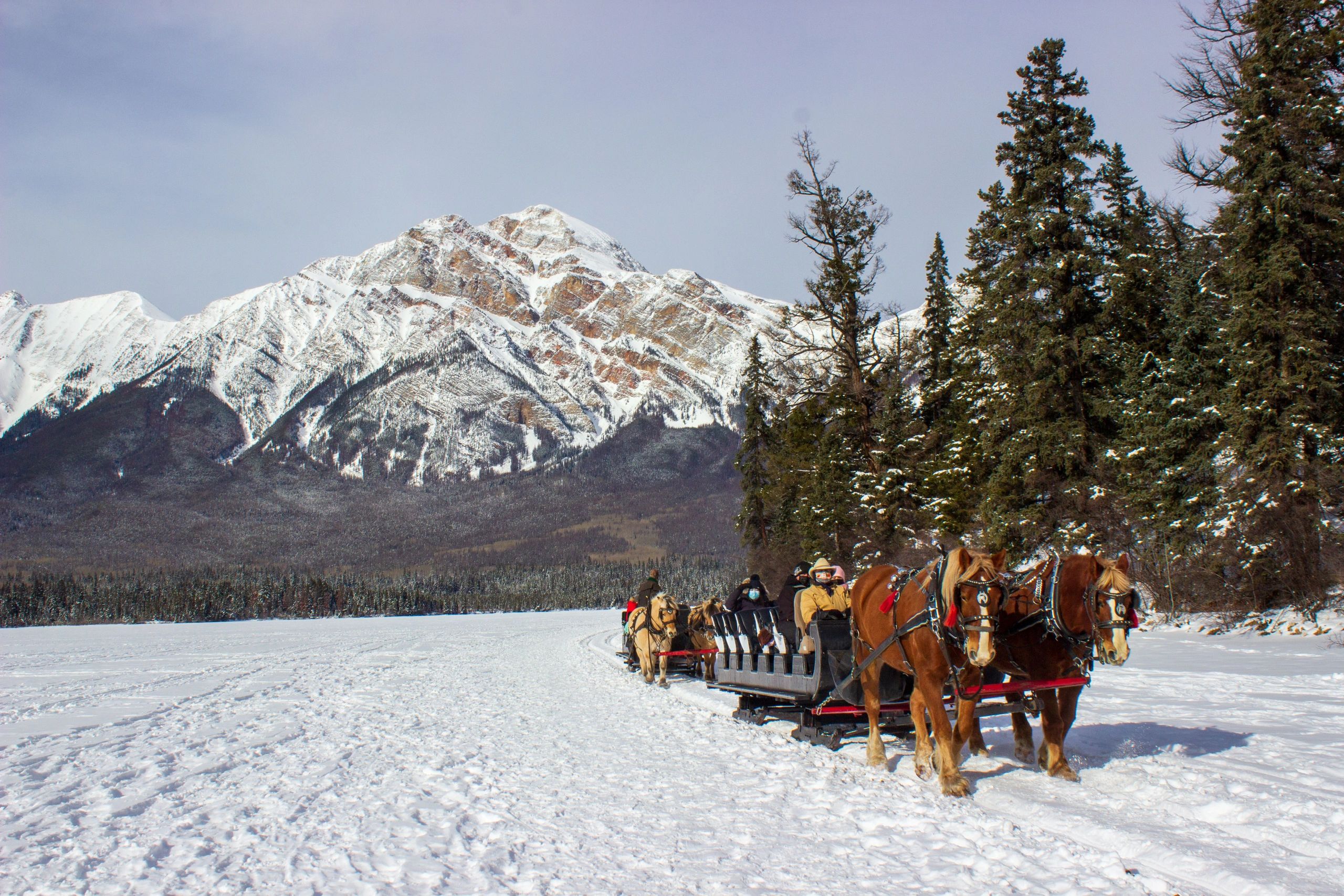 Sleigh Rides