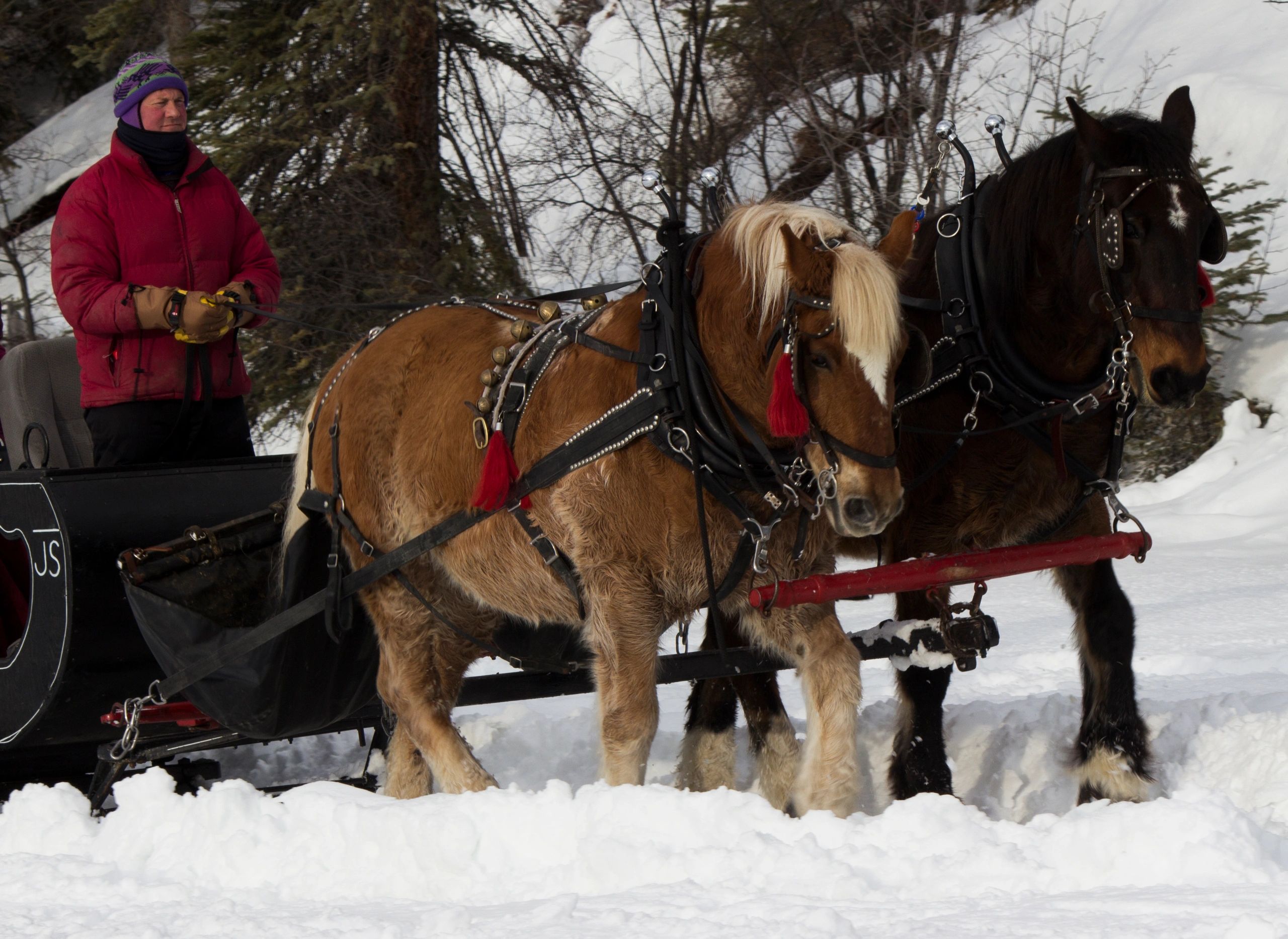 Jasper Riding Stables