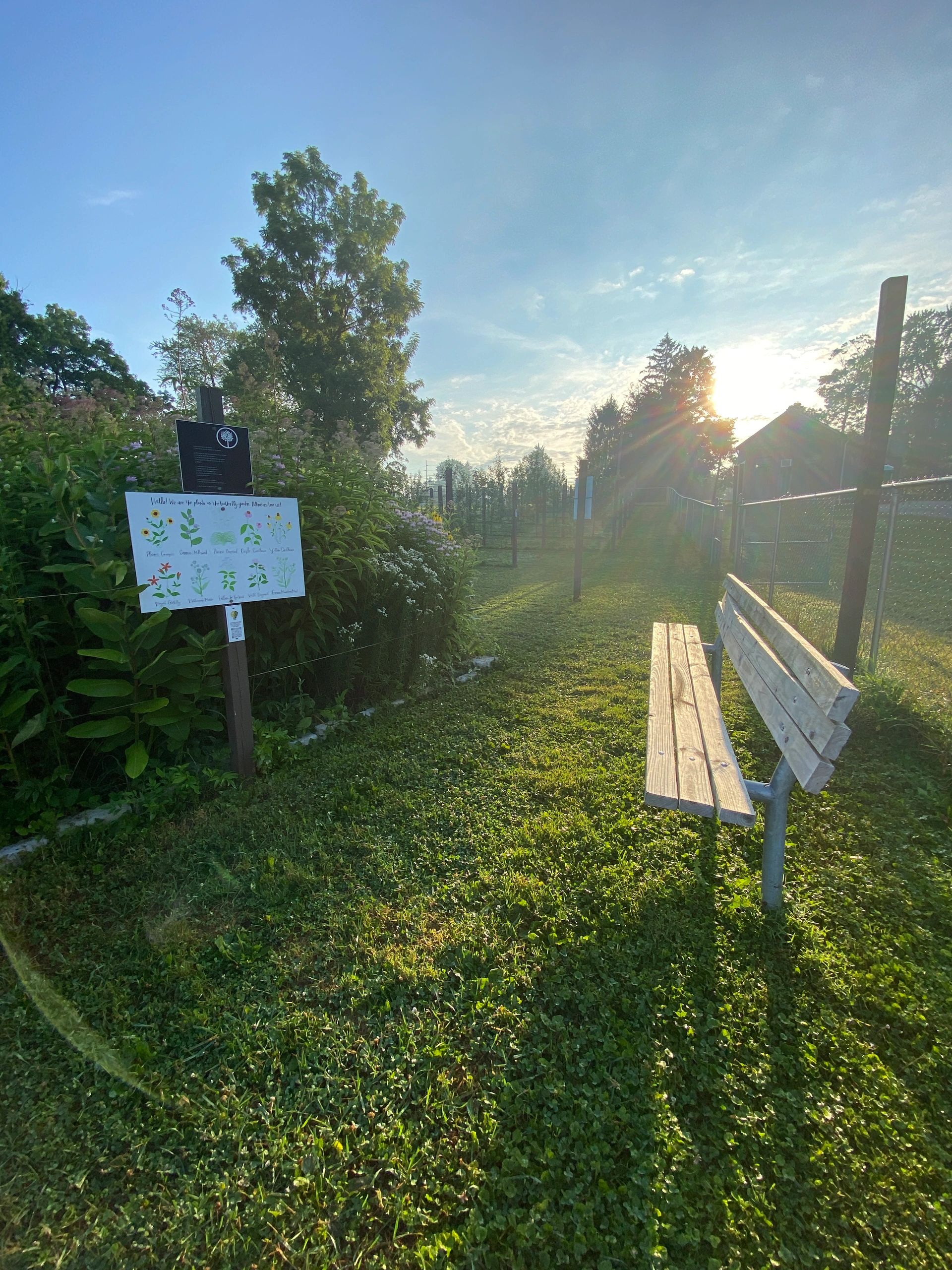 Coloring Pages for Kids