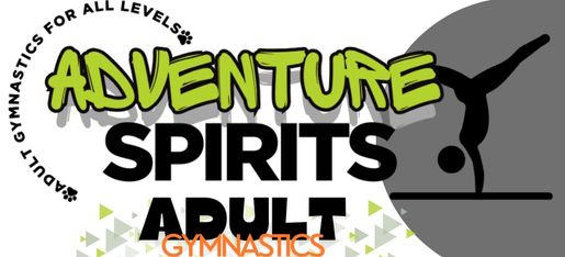 Spirit Gymnastics - Gymnastics - North Wales, Pennsylvania