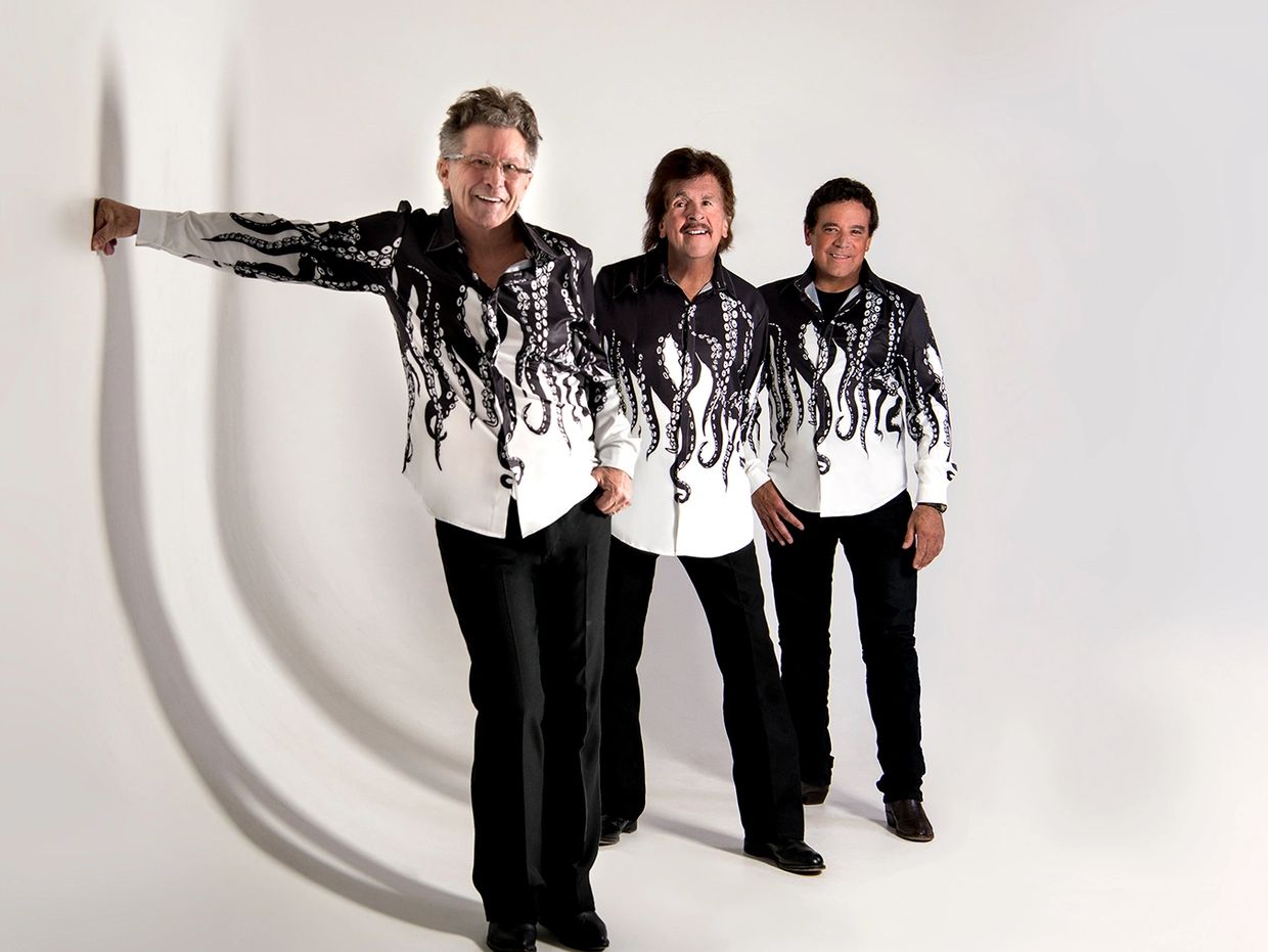 The Rhythm Cats - Entertainment - Mesa, Arizona