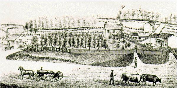 Home [flyingjfarm.com]