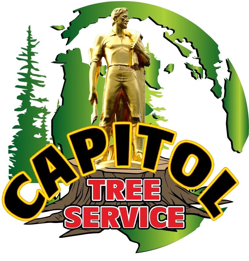 CAPITOL TREE SERVICE - Inicio