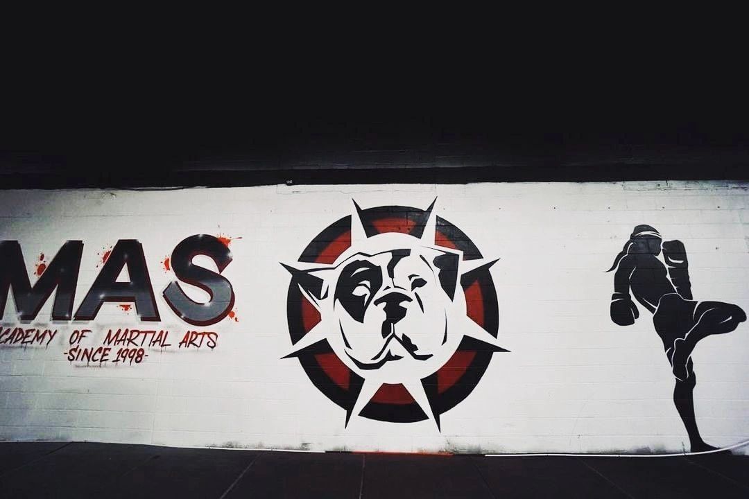 Muay Thai Gym - MAS Academy Of Martial Arts