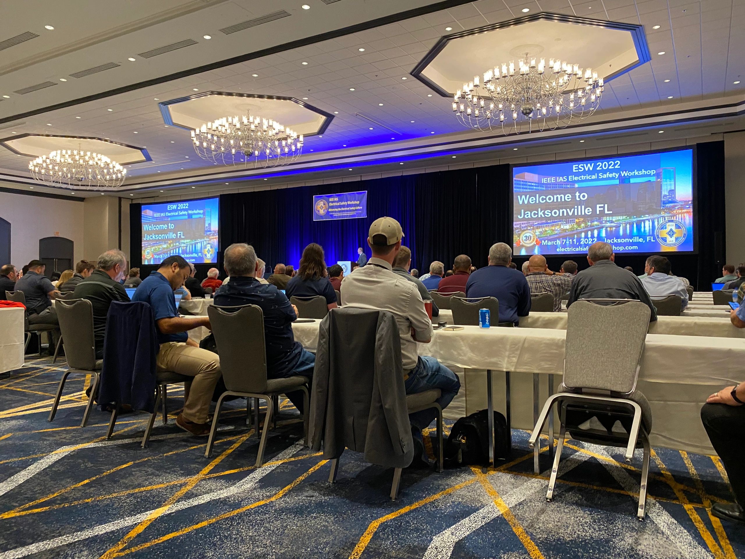 IEEE Electrical Safety Workshop