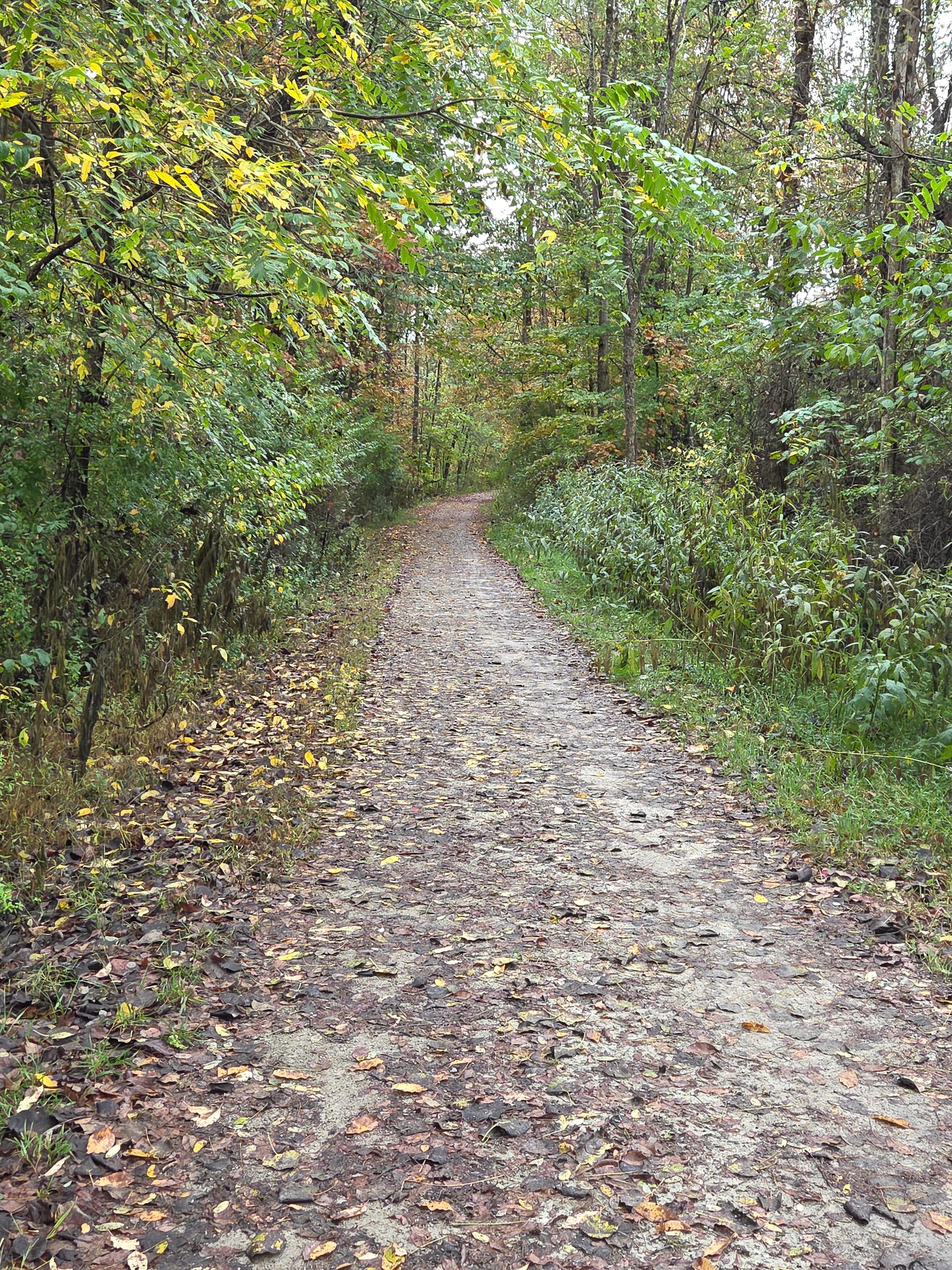 The Purple Owl Campground