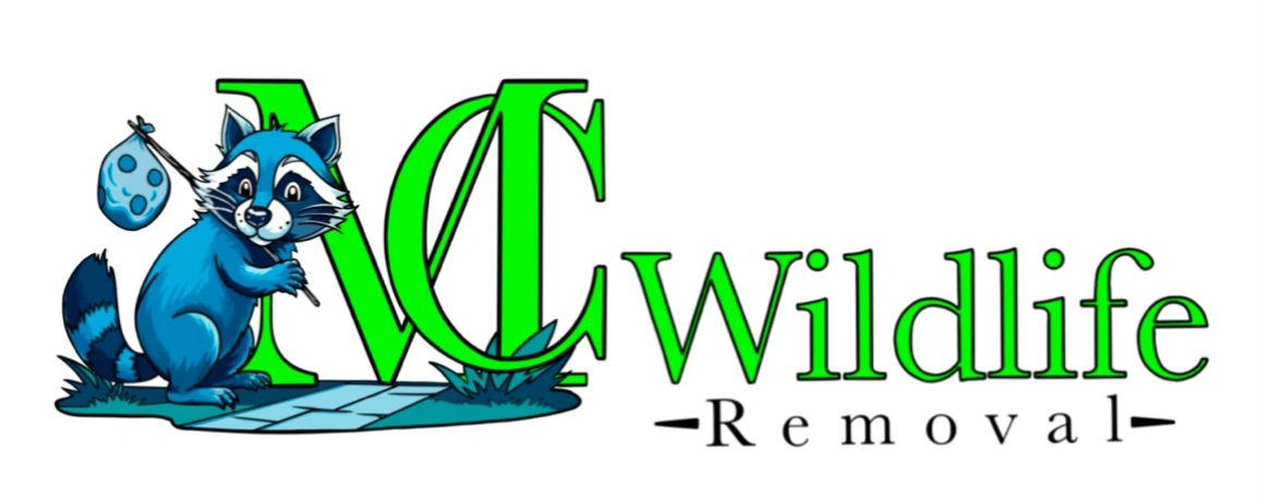 MC Wildlife Removal