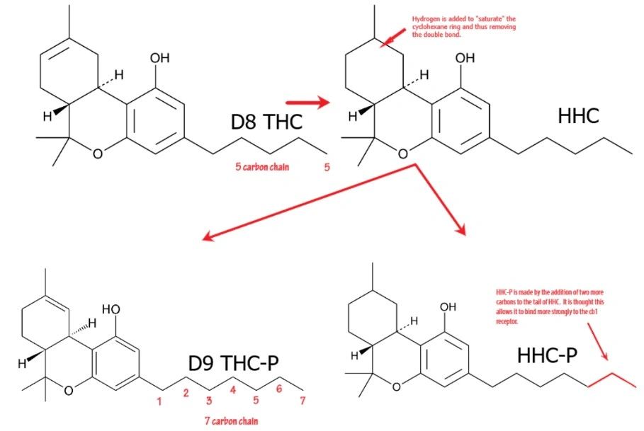 The Lowdown on HHC Vs. THCp: Key Differences Explained
