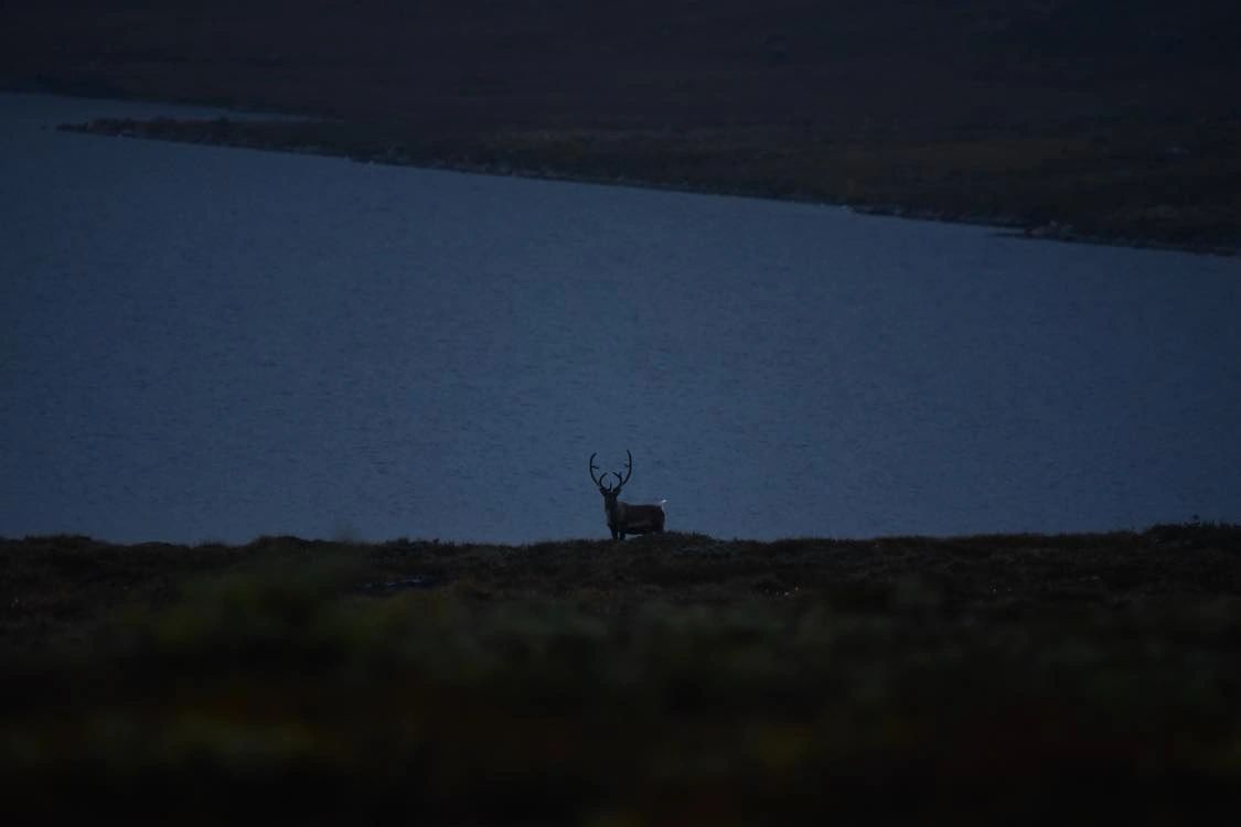 Gallery | Uppik Adventure