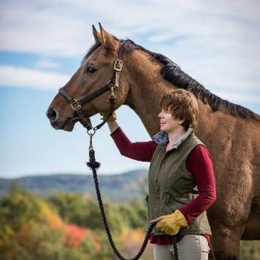 Blue Sky Equestrian Stables - Horse Farm, Boarding, Lessons