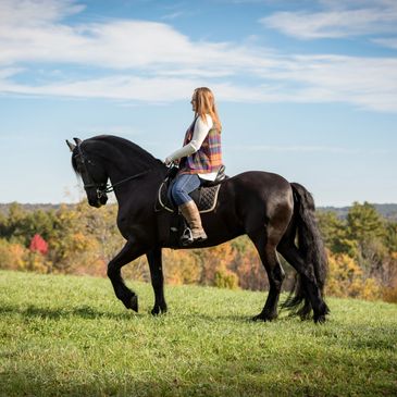Blue Sky Equestrian Stables - Horse Farm, Boarding, Lessons