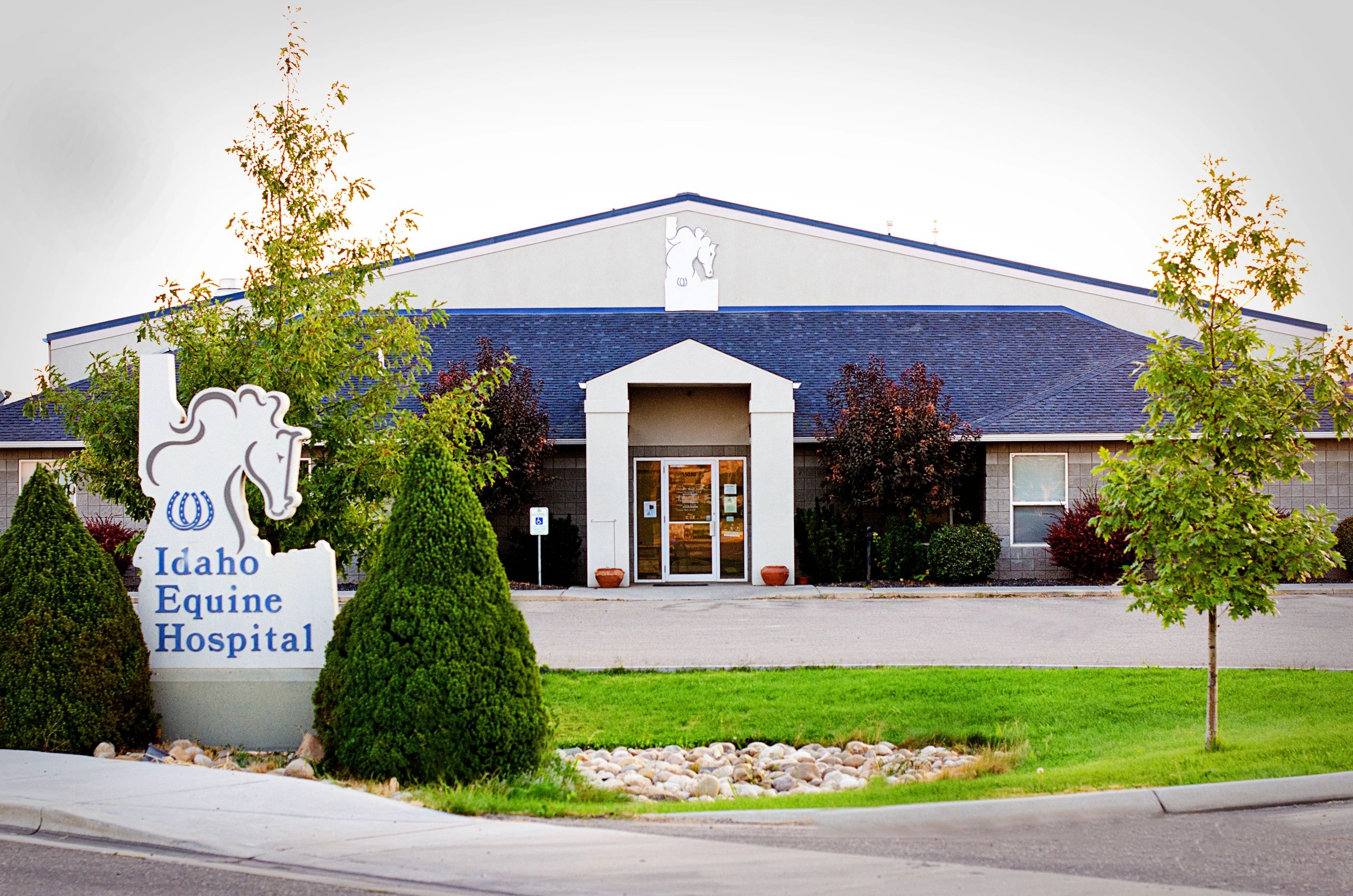 Idaho Equine Hospital - Veterinarian, Horse