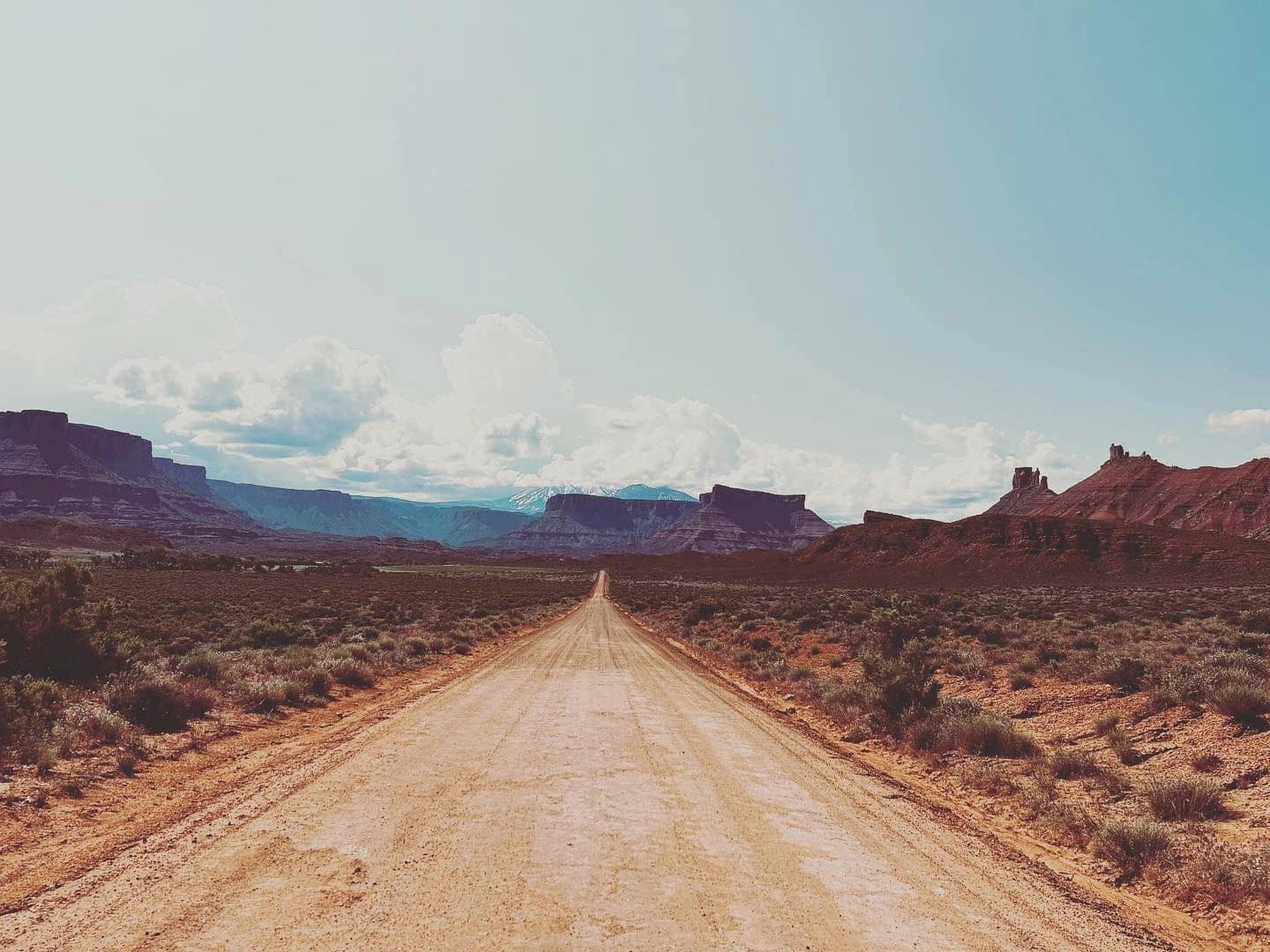 SAMANTHA REED, APRN, PLLC