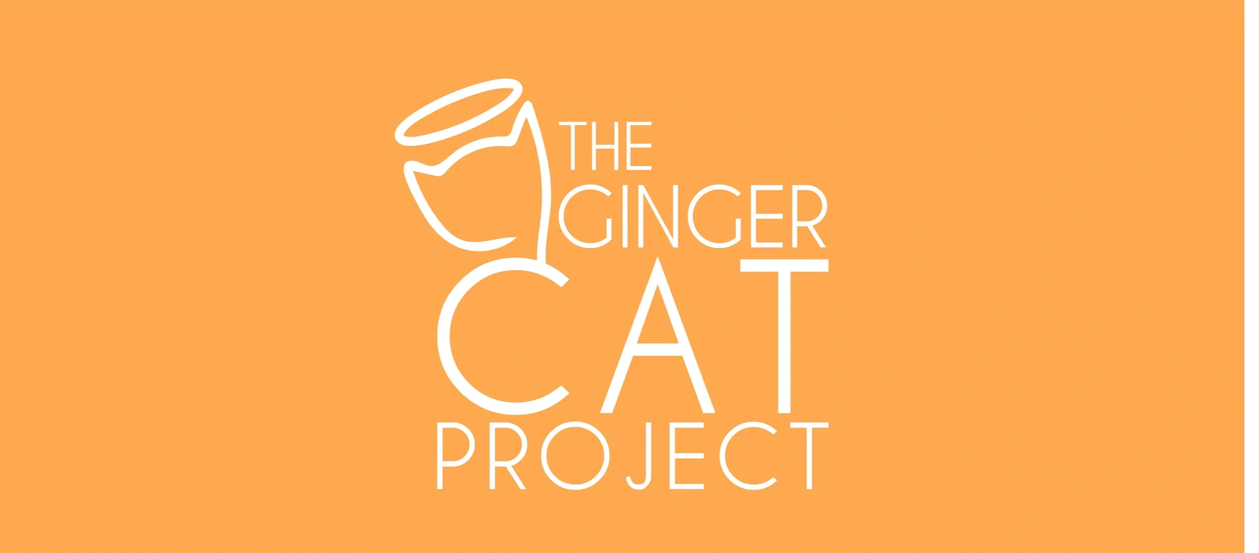 Ginger Cat Project