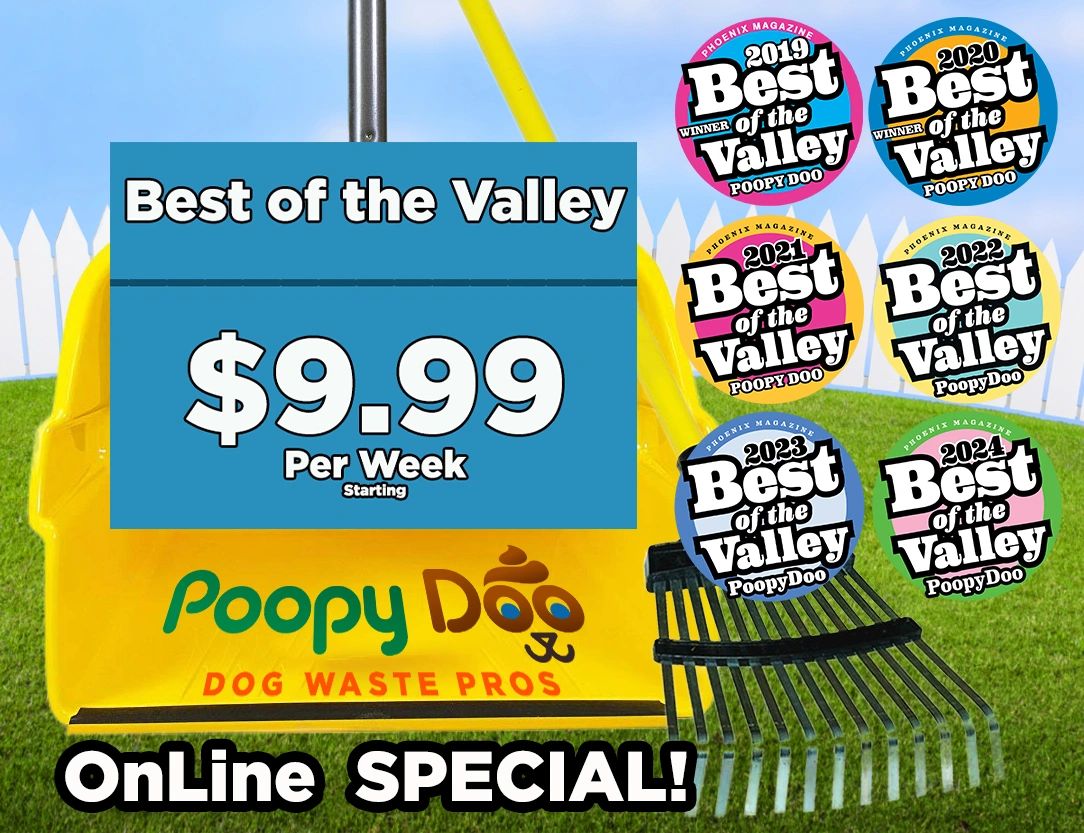 Online Special- $9.99 Dog Poop Removal Service