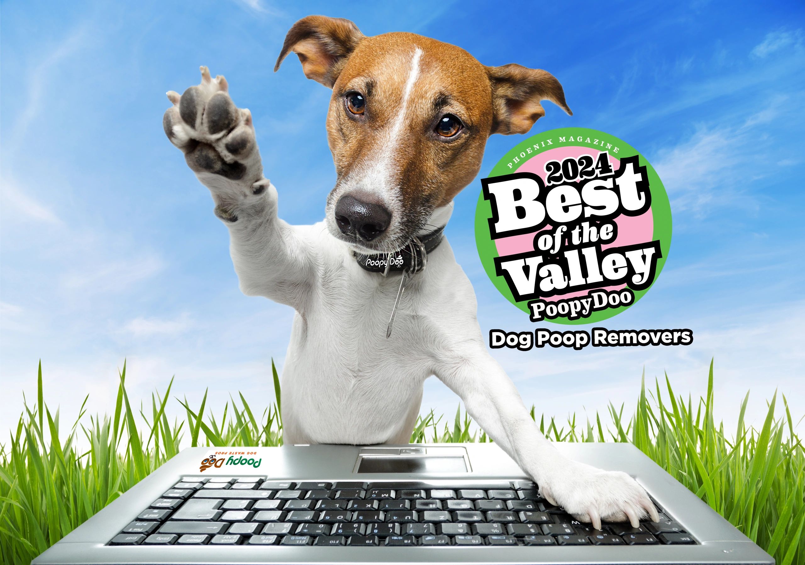 Poopy Doo- BEST LOCAL Dog Waste Removal Pros