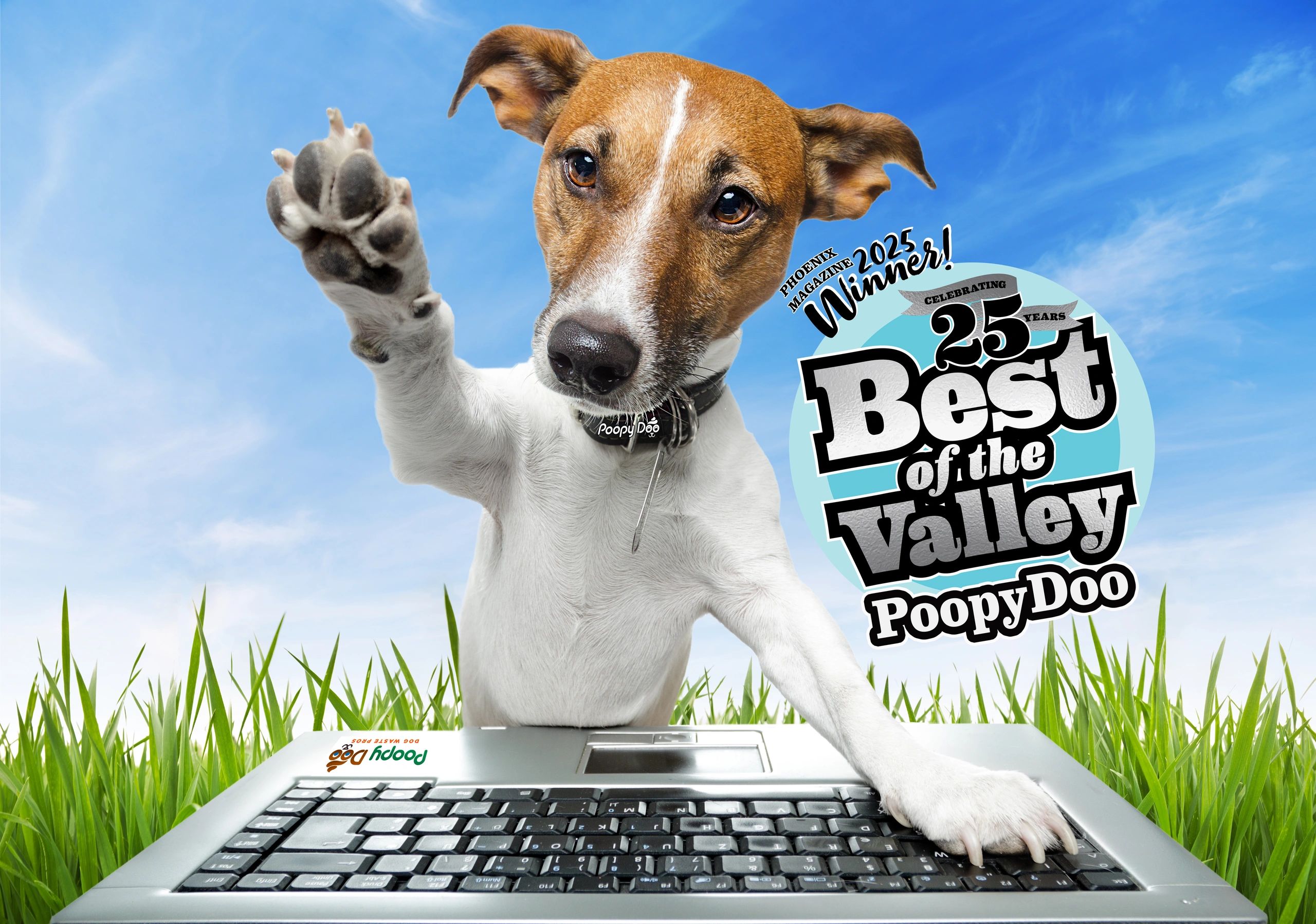 Poopy Doo- Dog Poop Removal