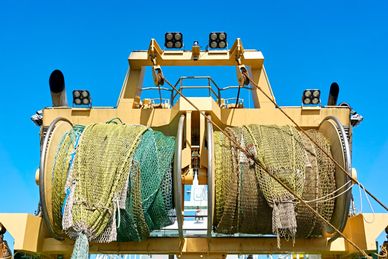 Fisheries Technologies - Fisheries Management, IT Company, Data ...