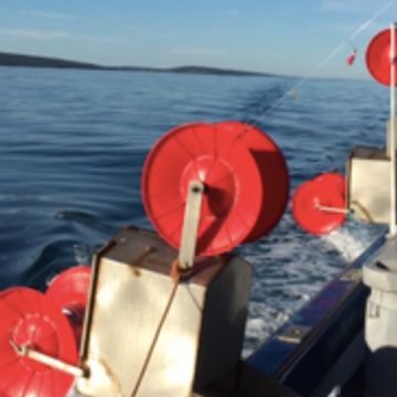 Gaski Marine - Rollers, Net Haulers