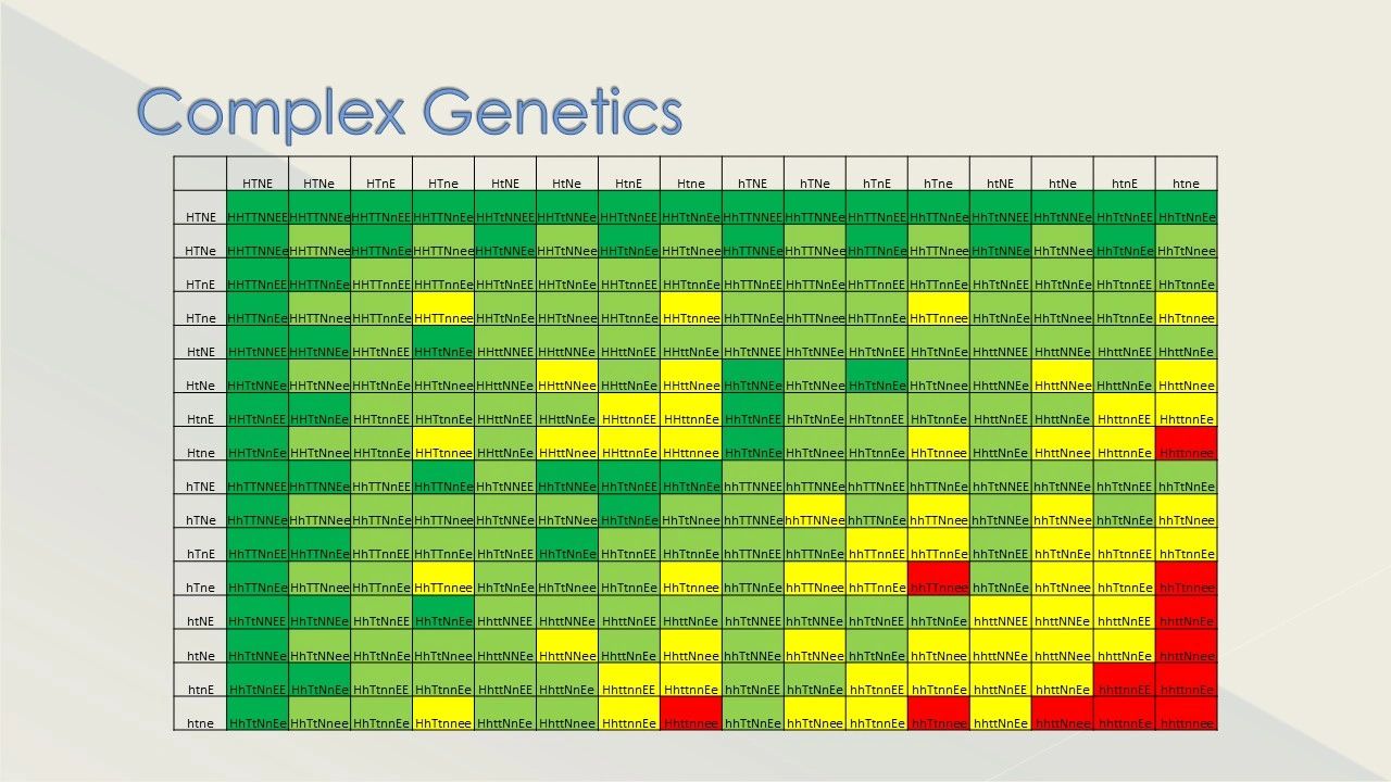 Genetics – American Kennel Club