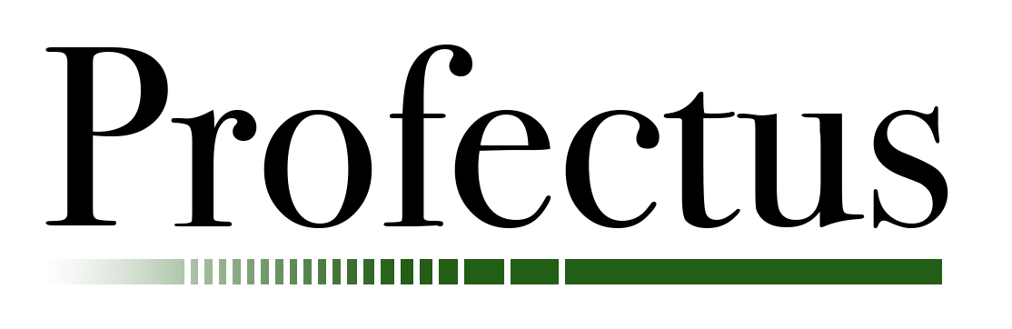 Profectus Consulting